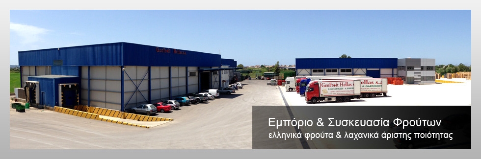 GeoFruit Hellas | Οπωροκηπευτικά - Λεχαινά