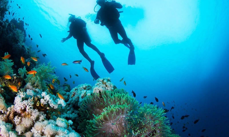 Mediterranean Diving Center | Καταδύσεις - Λασίθι